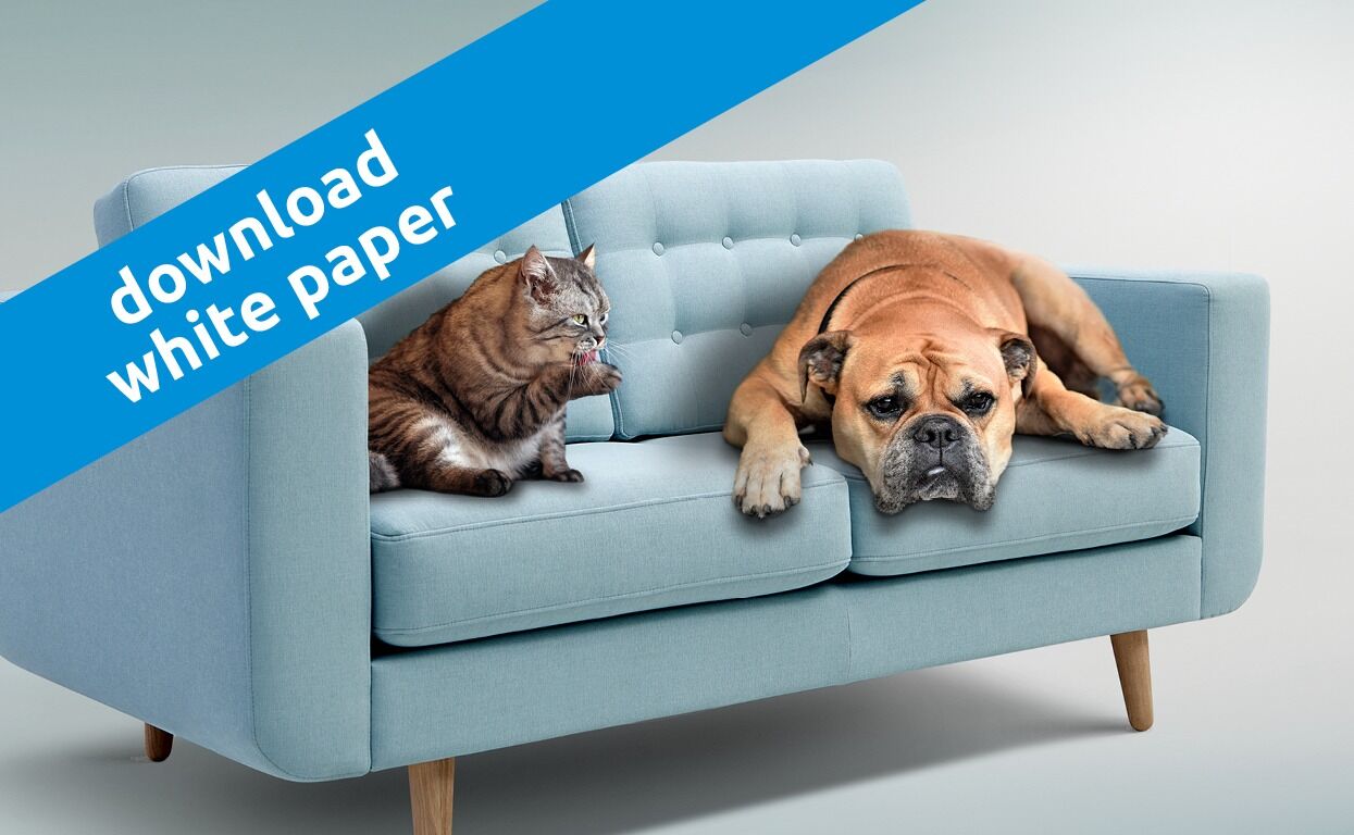 The benefits of insoluble cellulose fibers as a pet food ingredient