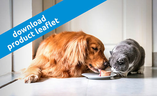 Poultry plasma powder | IQI Petfood