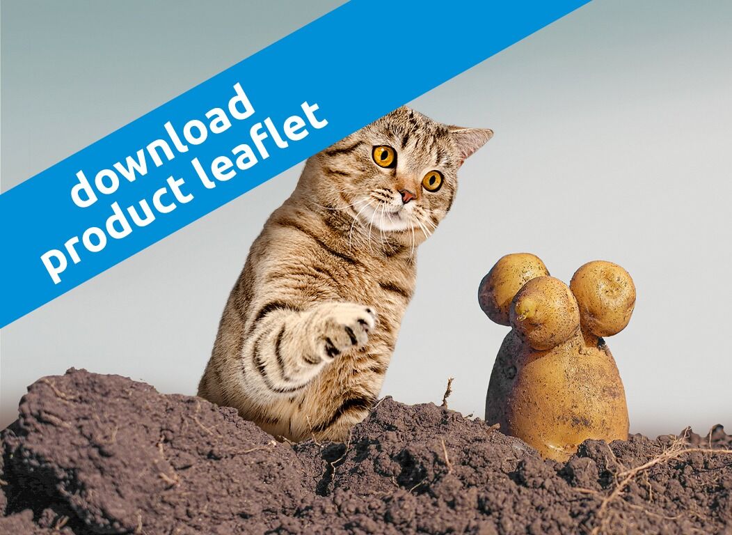 ProtaSTAR® potato protein | IQI Petfood