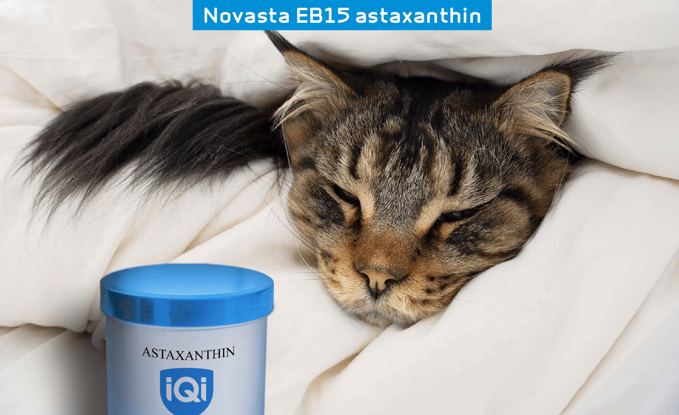 Natural astaxanthin: How the ‘king of carotenoids’ can upgrade pet food ...