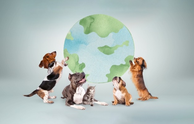 Sustainability - IQI Petfood