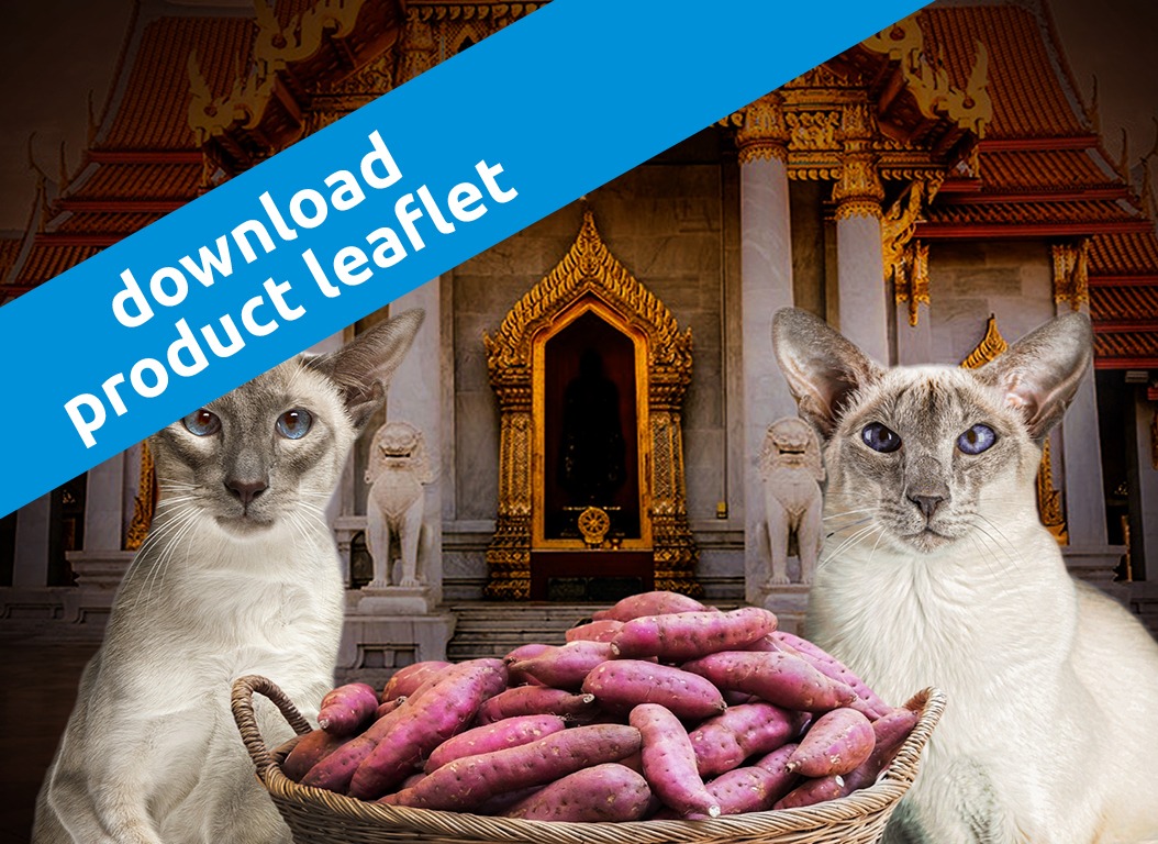 ProtaSTAR® potato protein | IQI Petfood