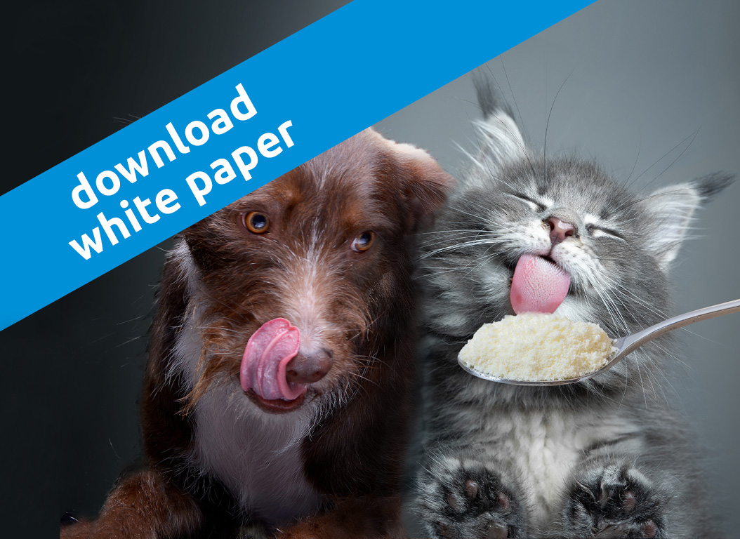 Collagen as an increasingly popular functional ingredient in pet food ...