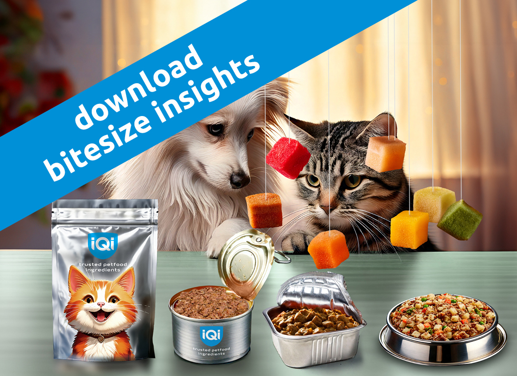 Bitesize Insights: Wet Pet Food | IQI Petfood